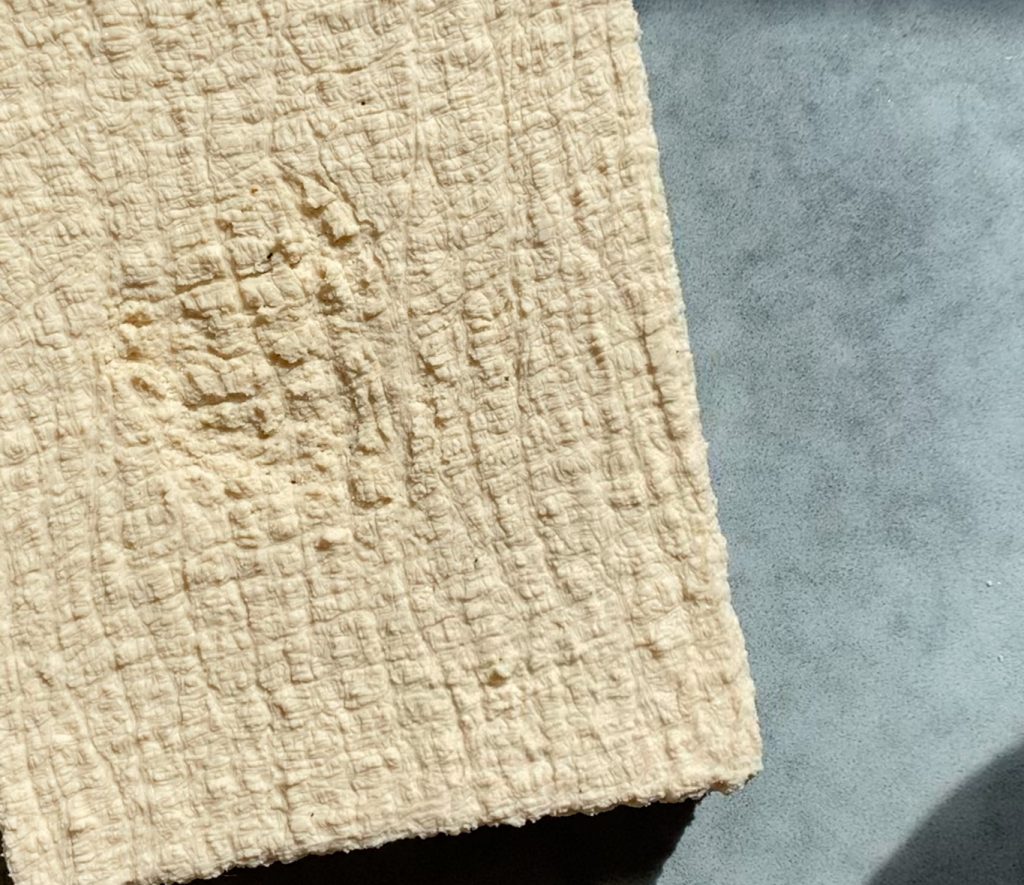 Making Tofu Recipe From Scratch - Melo & Mills